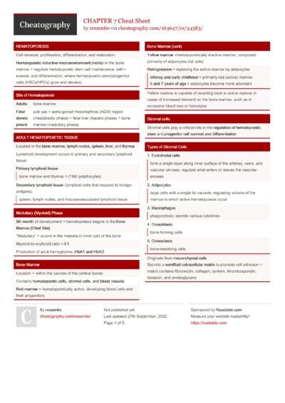 6 Bone Cheat Sheets Cheat Sheets For Every Occasion 2368