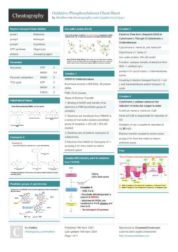 Oxidative Phosphorylation2 Cheat Sheet by rhettbro - Download free from ...