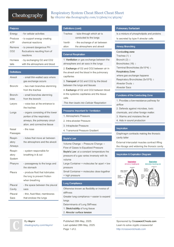Respiratory System Cheat Sheet Cheat Sheet by rileyrnr - Download free from Cheatography ...