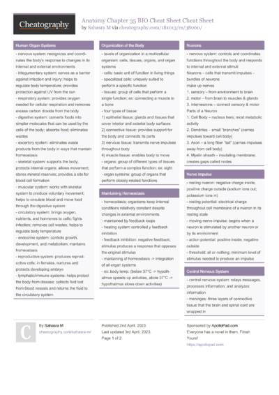 Muscular System Cheat Sheet by ally_rose - Download free from ...