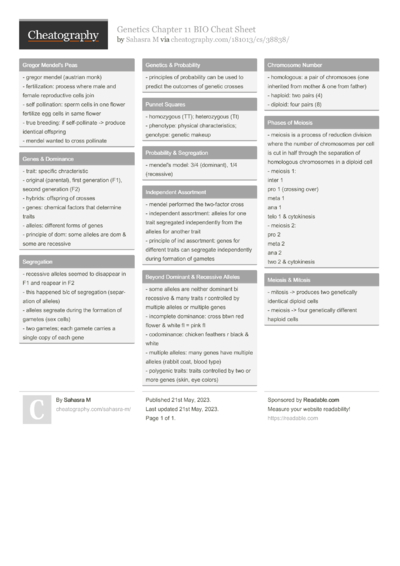 SISTEMA NERVOSO Cheat Sheet by etac26 - Download free from Cheatography ...