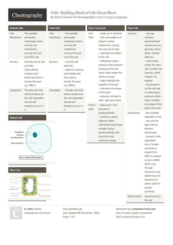 Cells Building Block Of Life Cheat Sheet By Samii Download Free From Cheatography 