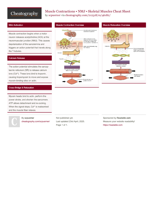 Muscle Contractions • NMJ • Skeletal Muscles Cheat Sheet by scpuerner ...