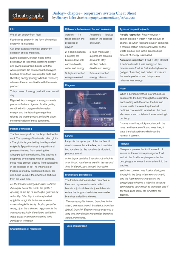 Biology- chapter= respiratory system Cheat Sheet by Shanaya kalra ...