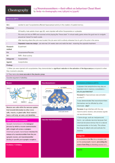 1.1 Techniques used to study the brain Cheat Sheet by Sruby - Download ...