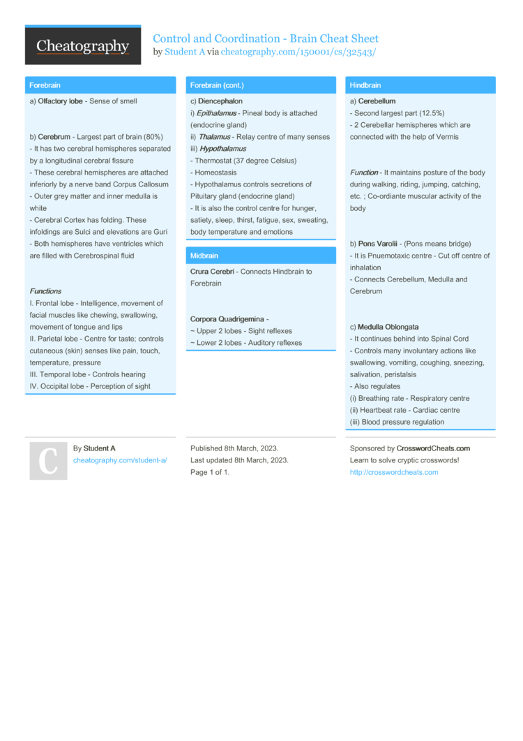 Control and Coordination - Brain Cheat Sheet by Student A - Download ...