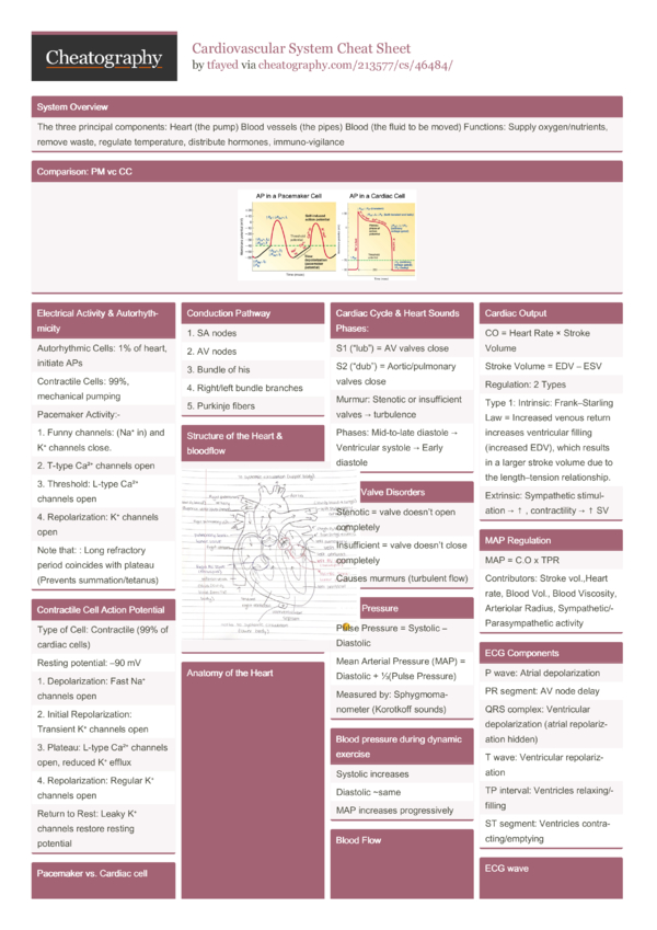 Cardiovascular System Cheat Sheet by tfayed - Download free from ...