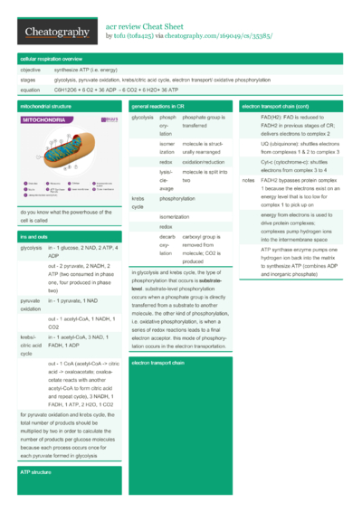 609 Biology Cheat Sheets - Cheatography.com: Cheat Sheets For Every ...