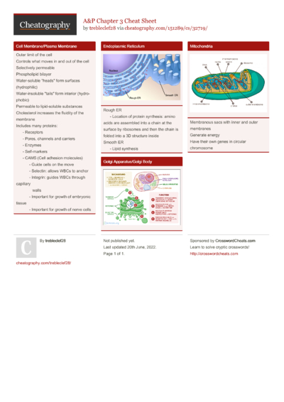 40 Anatomy Cheat Sheets - Cheatography.com: Cheat Sheets For Every Occasion