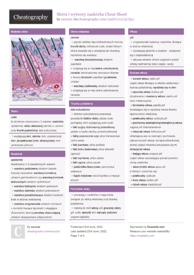 Political and Legal Systems Cheat Sheet by NatalieMoore - Download free ...