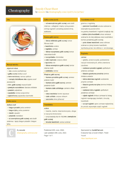 64 Spanish Cheat Sheets - Cheatography.com: Cheat Sheets For Every Occasion